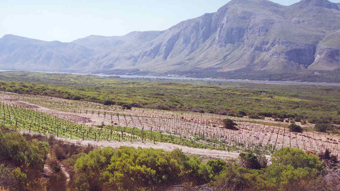 About us – Springfontein Wine Estate