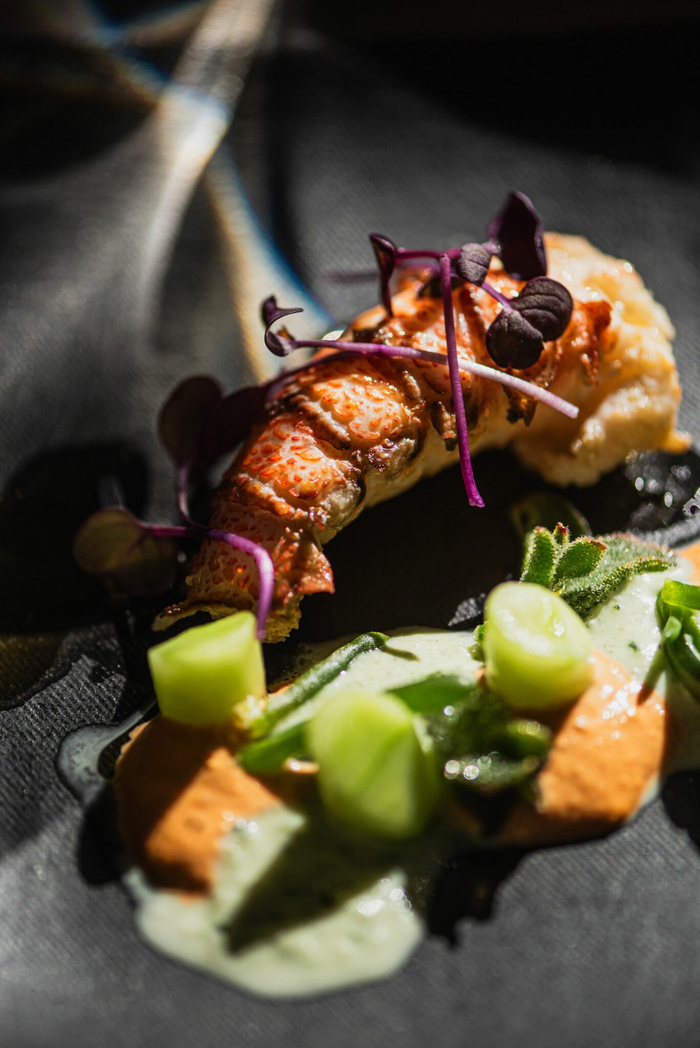 Springfontein Wine Estate – Organic wines of origin Springfontein Rim